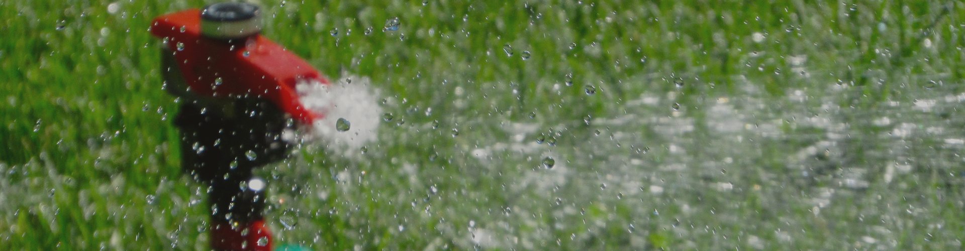 Benefits of Installing an Irrigation System - Tomlinson Bomberger