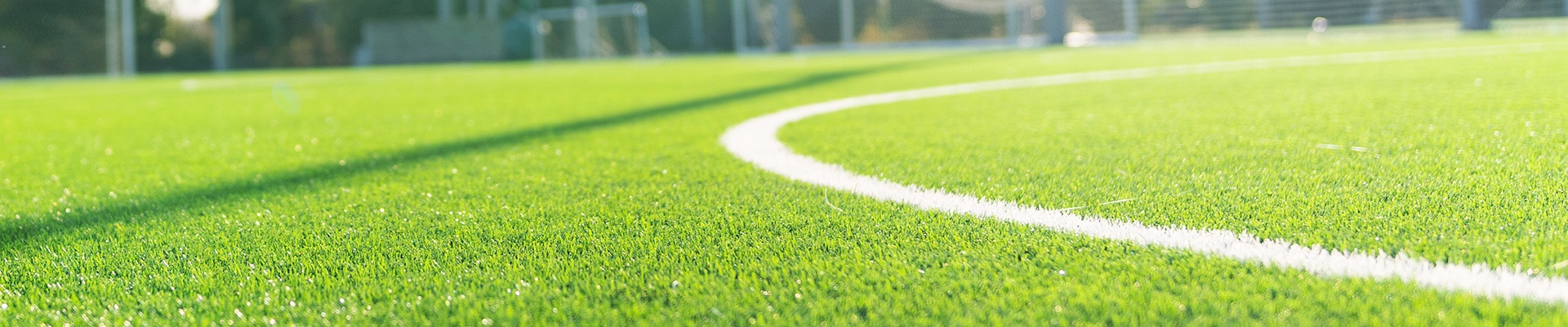 Commercial Services Landscaping Lawn Care And Pest Control